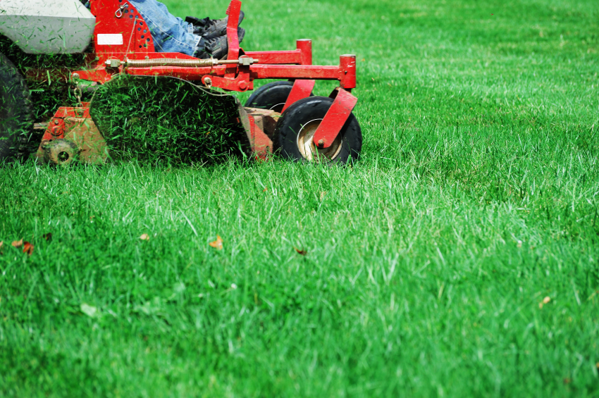 5 Ways to Cut Grass Without a Mower | Greenfeet Lawncare